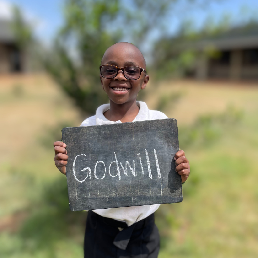 Godwill | Grain of Rice Project