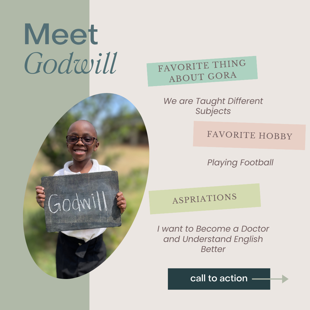 Godwill | Grain of Rice Project